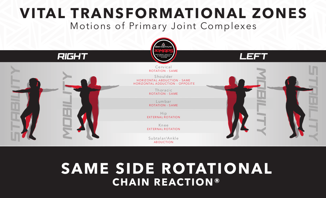 Functional Movement Assessment